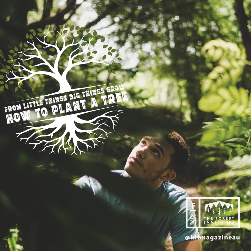 FROM LITTLE THINGS BIG THINGS GROW - KIT Magazine